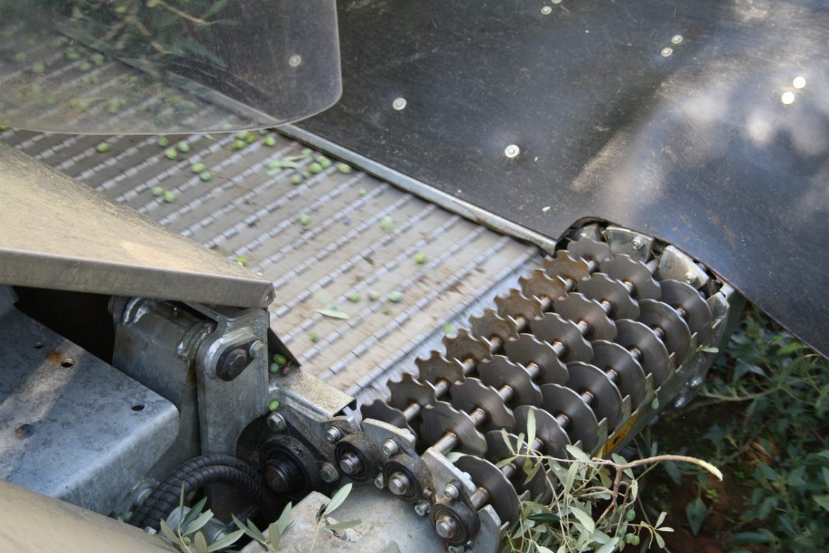 ATHENA - Andreoli Engineering