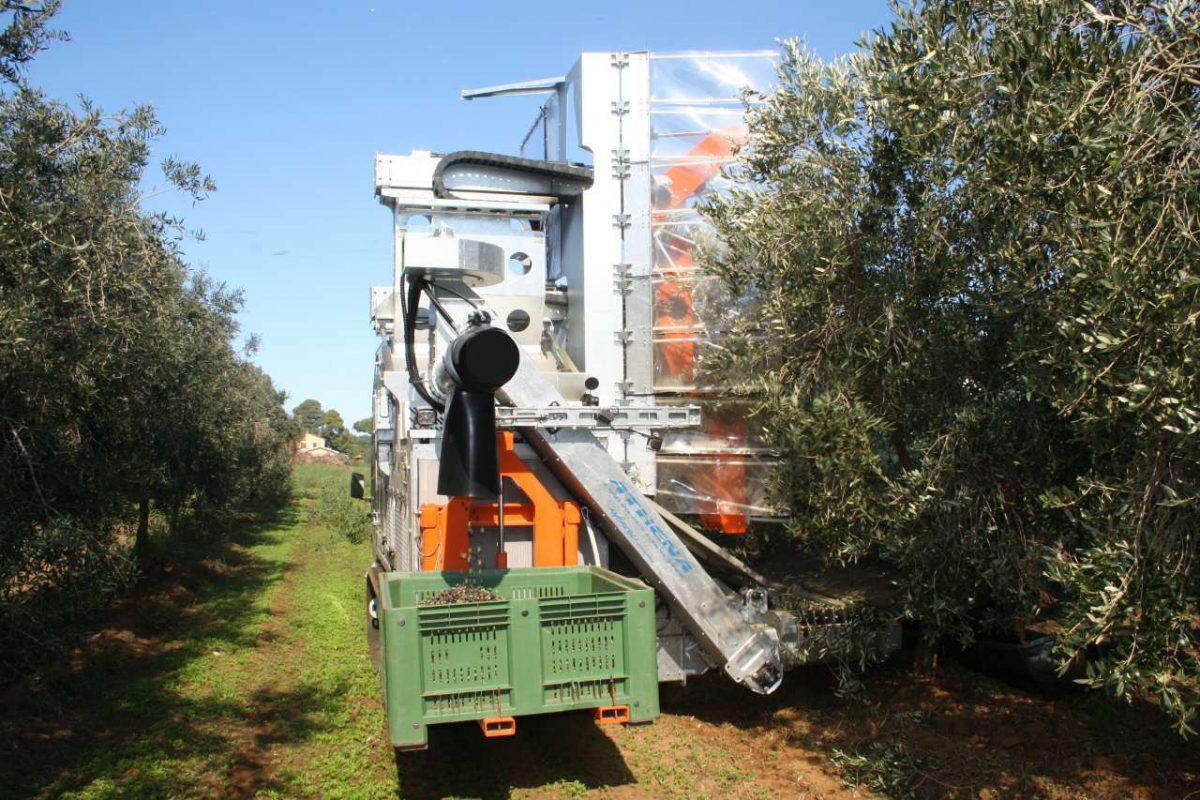 ATHENA - Andreoli Engineering