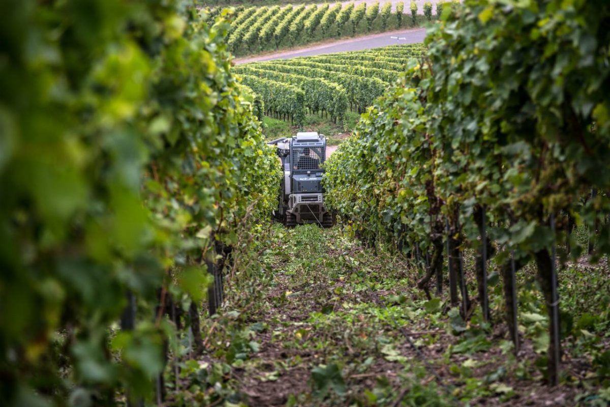 UT 110 - Andreoli Engineering